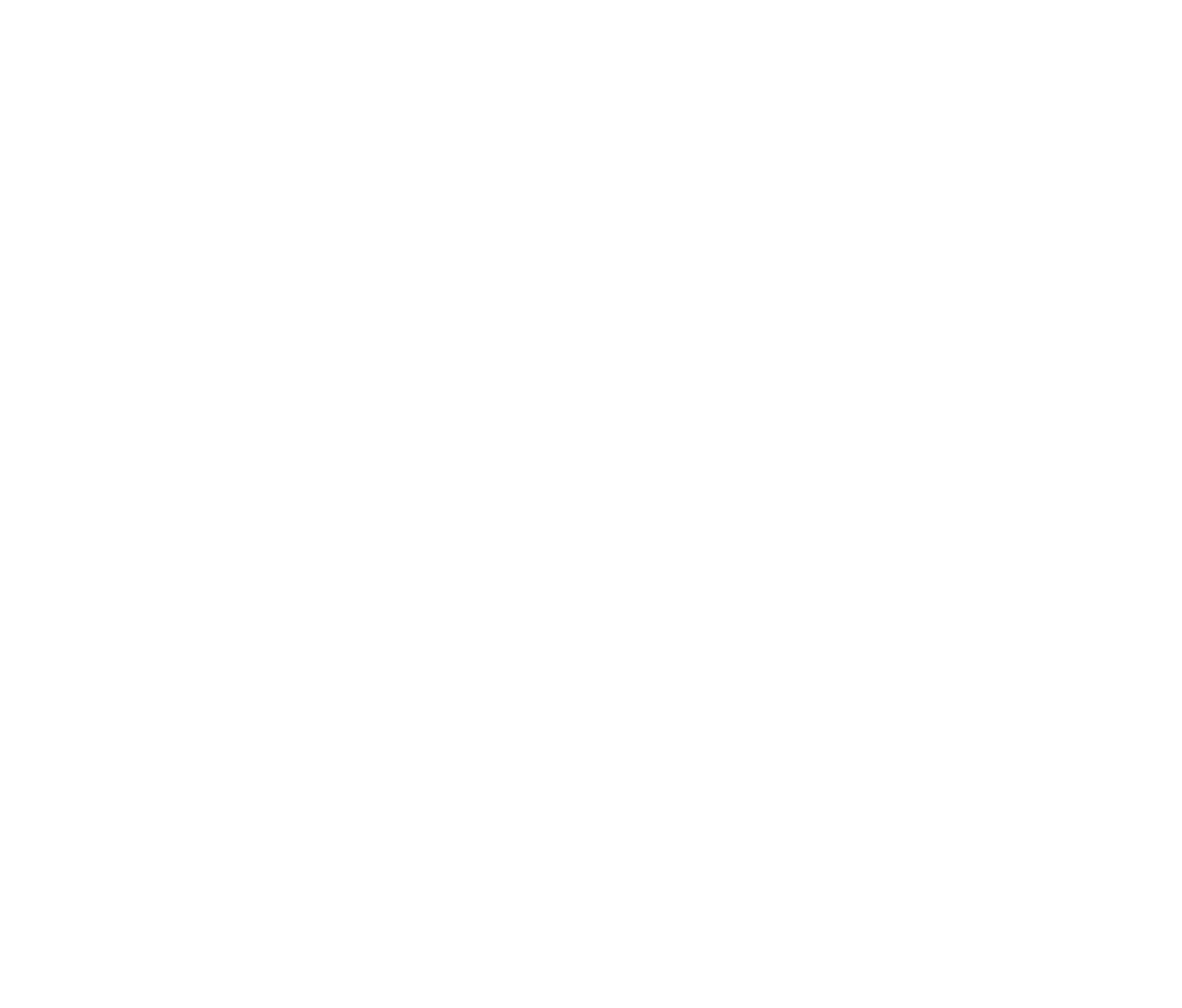 BCH Independent Insurance Agency in Houston, Texas